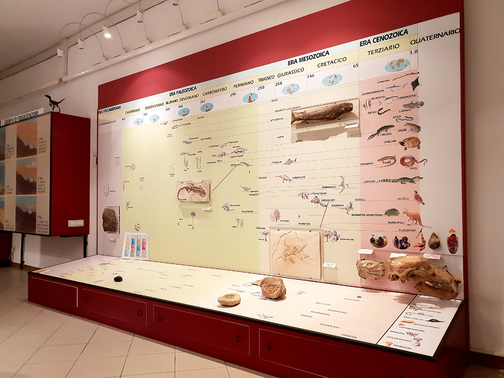 The Open Air Museum - idea-re